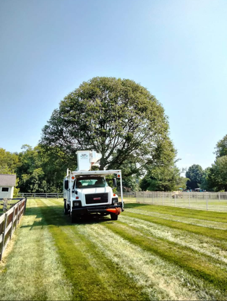 Allen's Tree Service